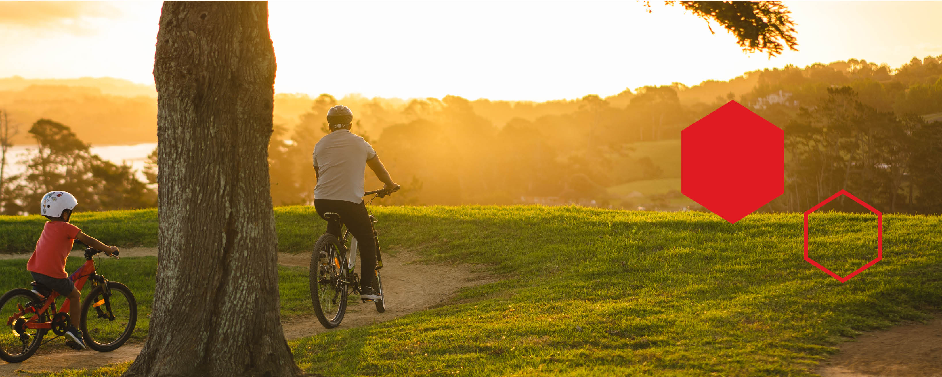 Aon NZ - Personal insurance │ Life & Health insurance